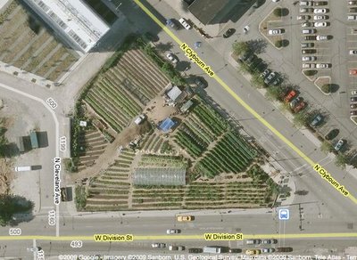 City Farm Chicago | Root Simple