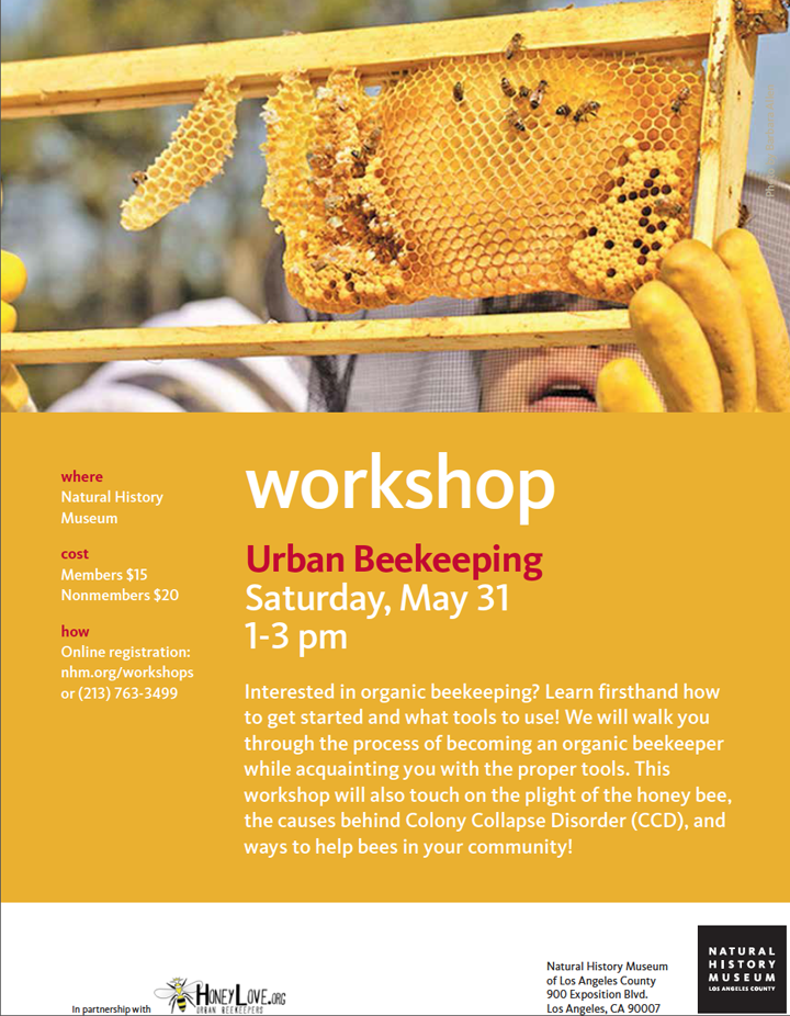 Urban Beekeeping Workshop at the Natural History Museum | Root Simple