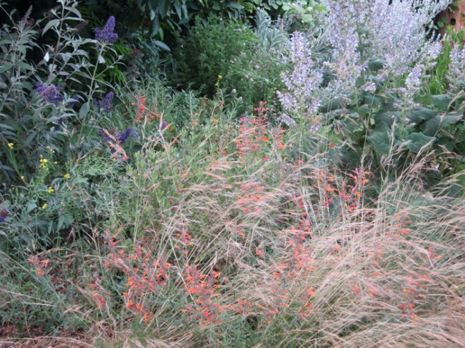Picture Sundays: Early Morning in the Garden | Root Simple