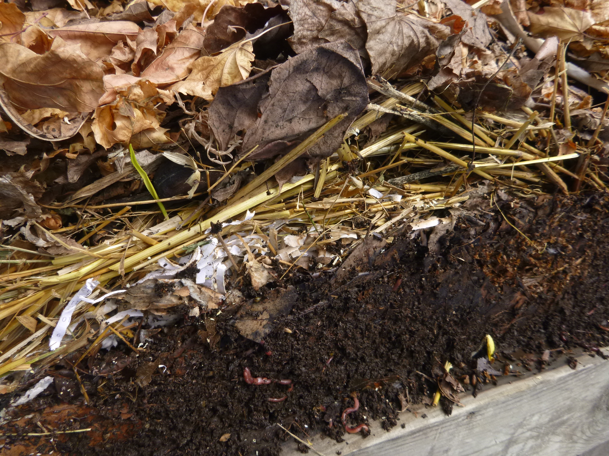 Soil Positive or just Soil Curious? Join Nancy Klehm For a Workshop on ...
