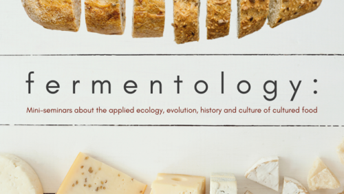 Fermentation | Root Simple